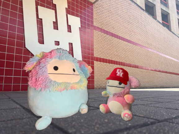 Advice from an elder Coog to a baby Coog - Cooglife