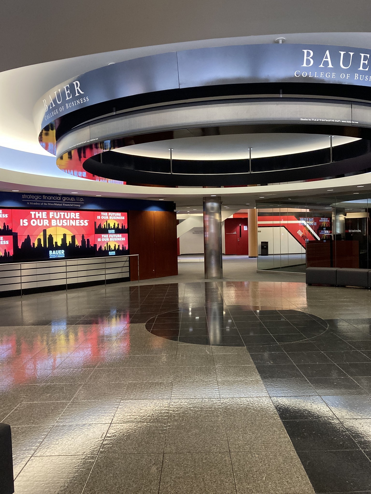 A little bit about Bauer - Cooglife